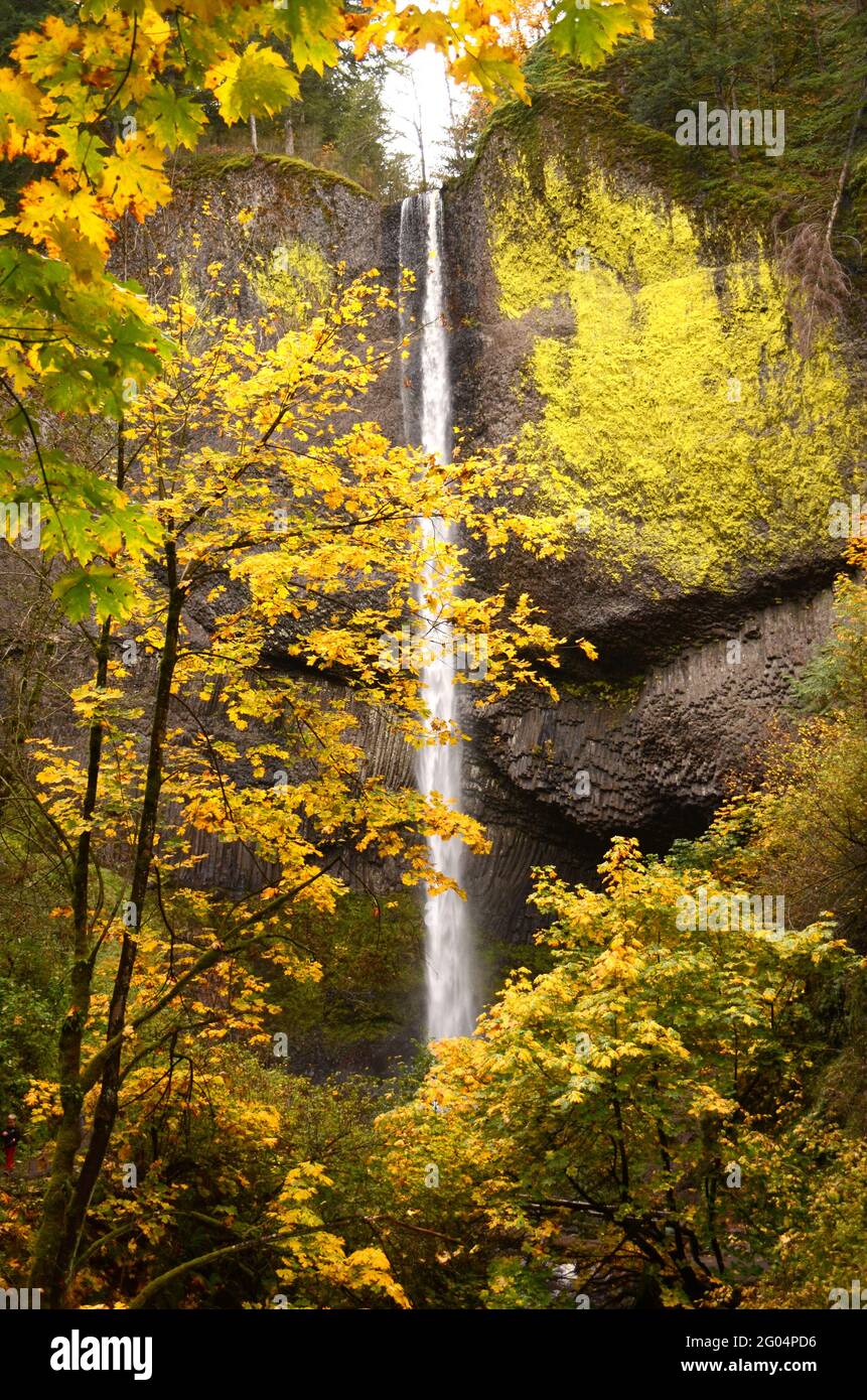 Oregon scenic highway 30 hi-res stock photography and images - Alamy