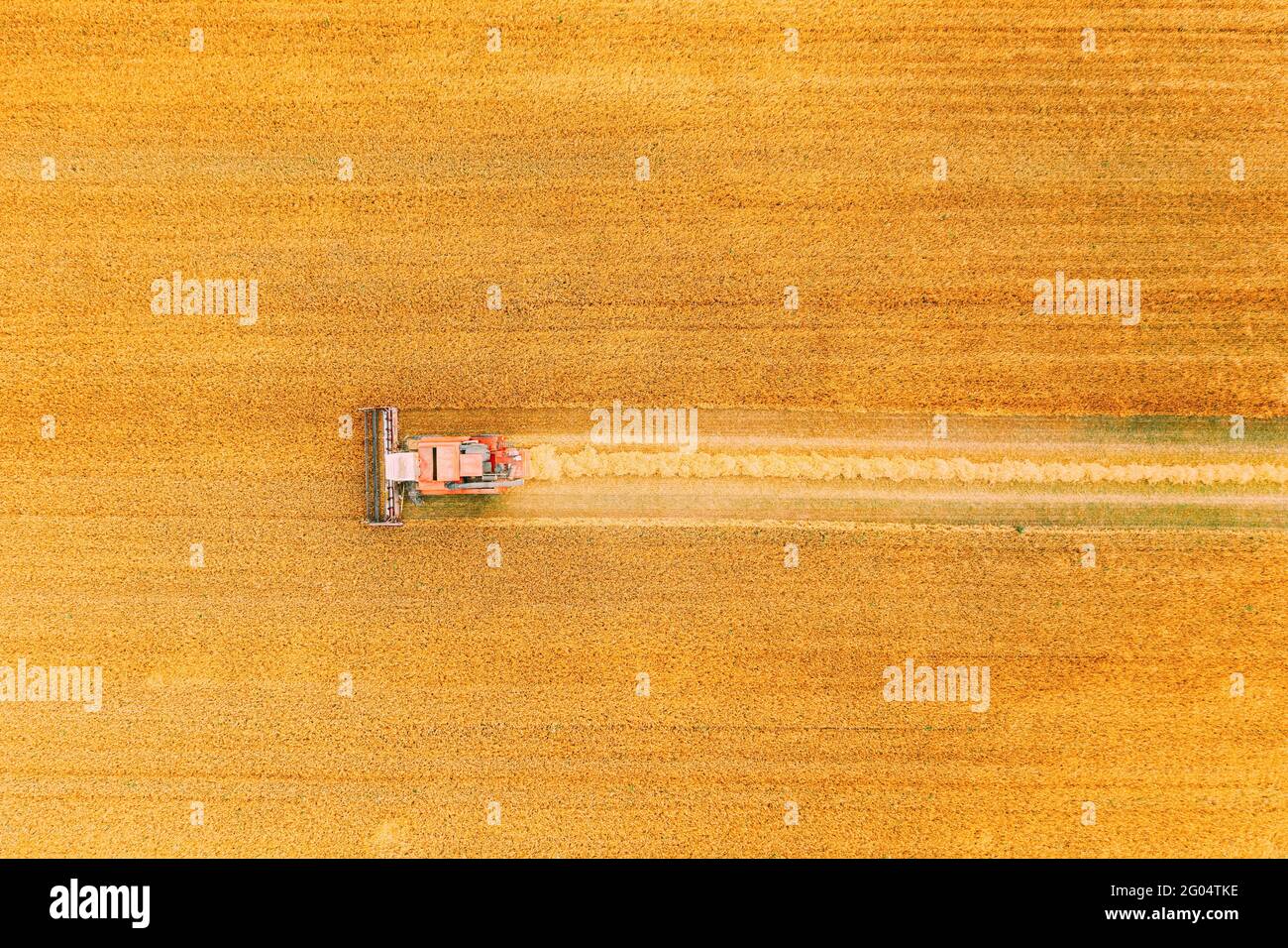 Aerial View Combine Harvester Working In Field. Harvesting Of Wheat In ...
