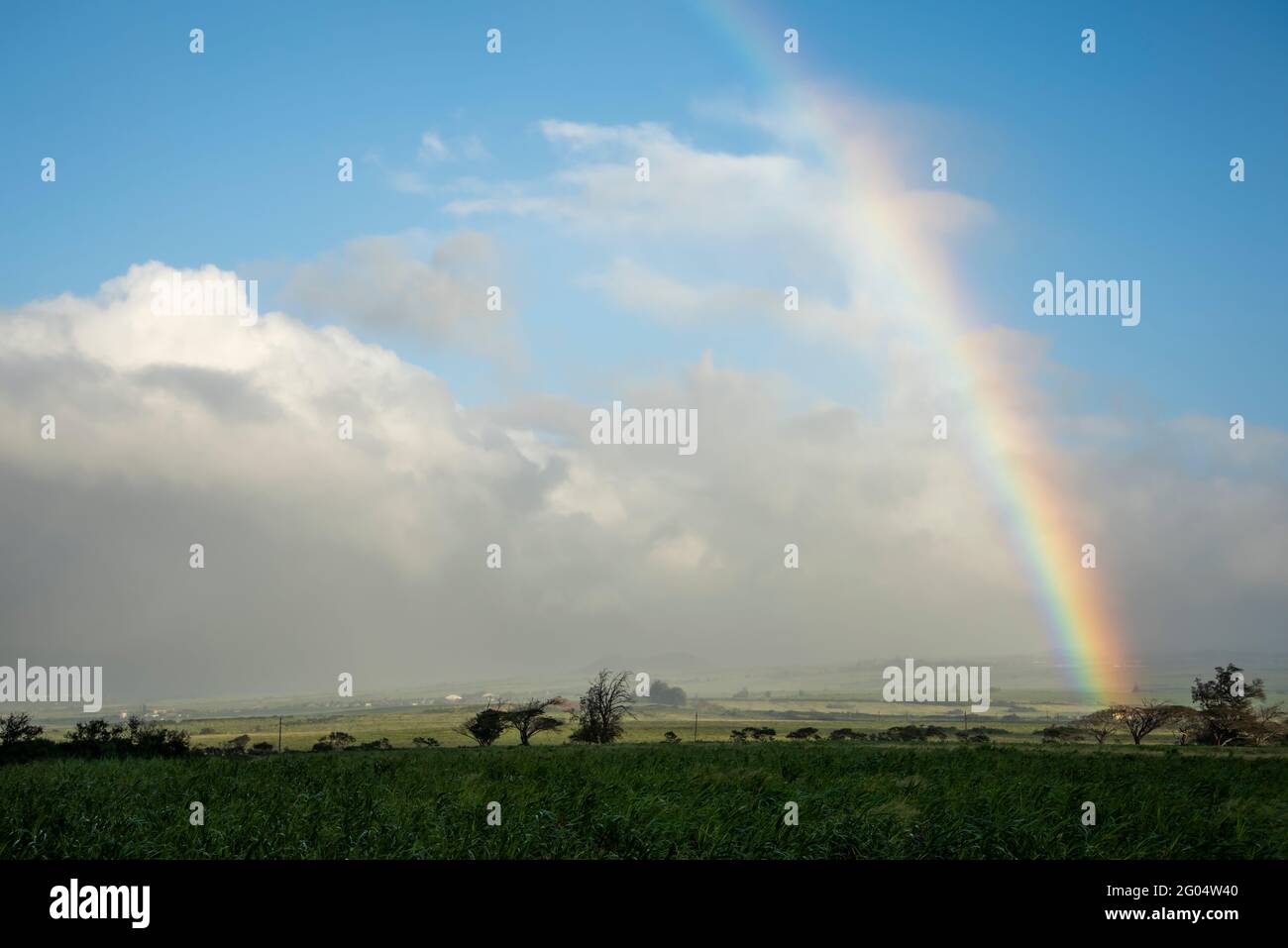 Maui, Hawaii. A beautiful rainbow on the island Stock Photo - Alamy