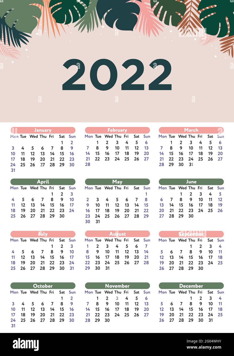 Wall yearly planner with natural pattern on light pink backdrop Stock ...