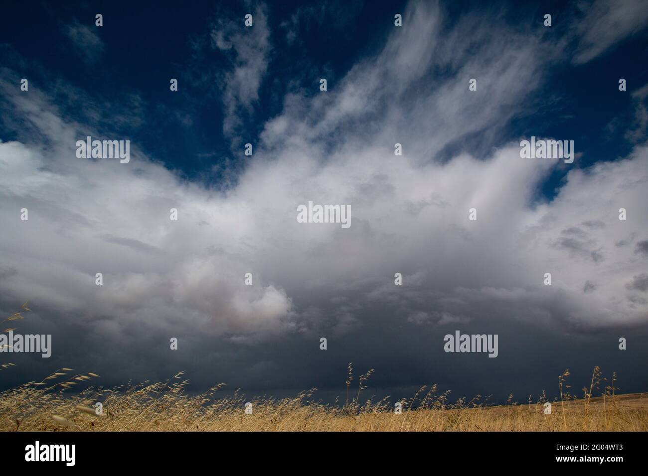Spring rainstorm forming over the Coast Range foothills of western ...