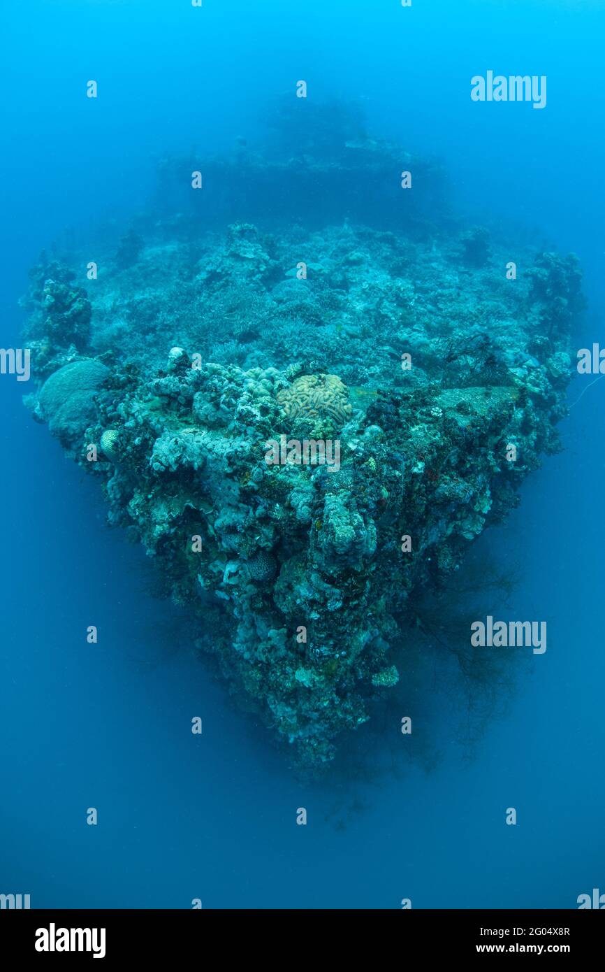 Coral has completely colonized the Japanese shipwreck of the Iro Maru ...