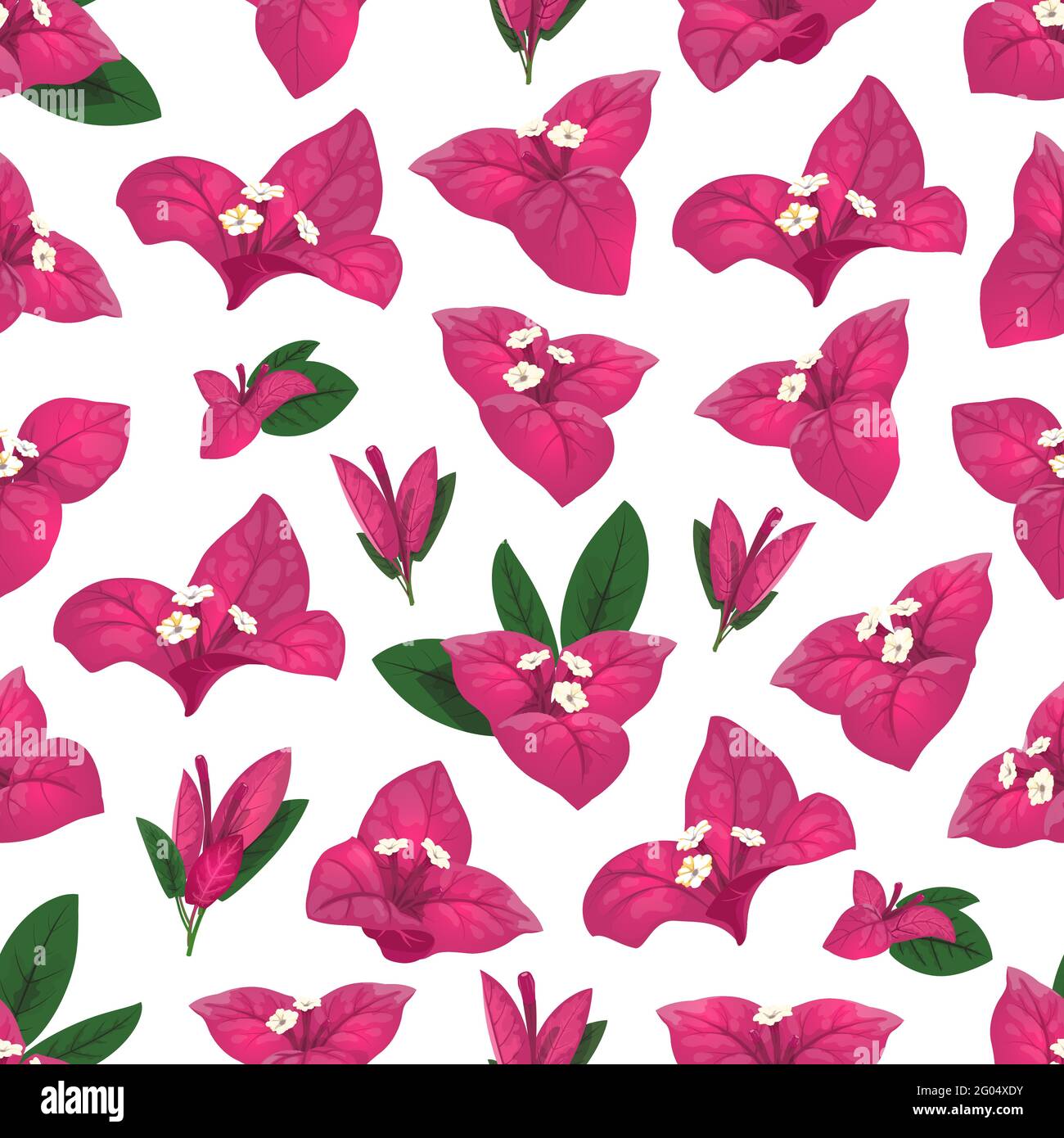 Bougainvillea seamless pattern of vector white flowers, pink and green ...