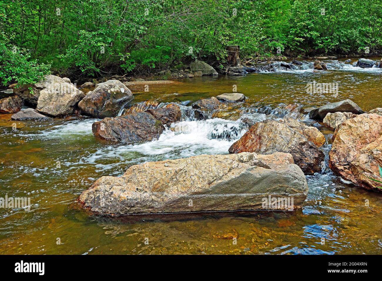 River surrounded by rocks and greenery in a forest in the daylight ...