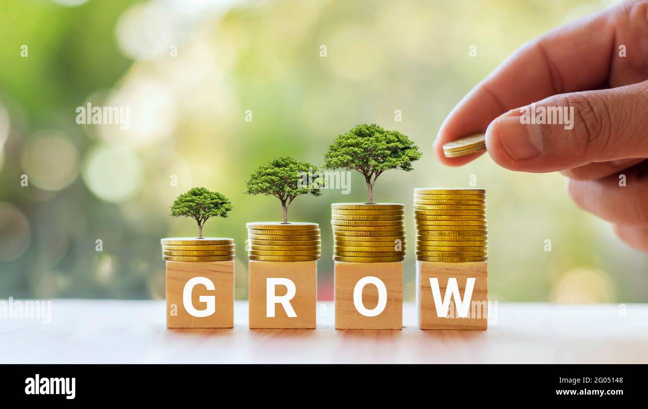 Tree growing on silver coin and square wooden block labeled grow money ...