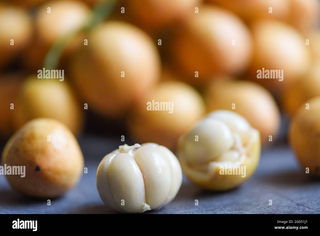 Rambi harvest from tree at the garden summer tropical fruit in Thailand ...