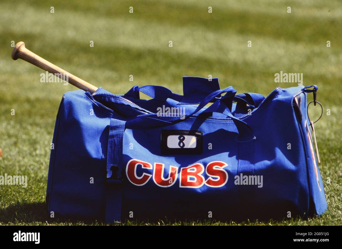 Chicago Cubs baseball bag with baseball bat showing, belongs to Andre ...