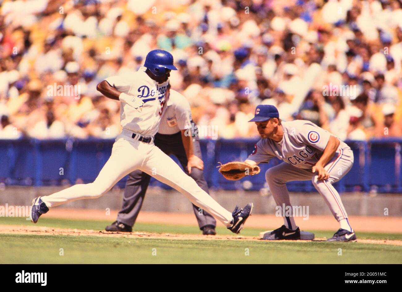 Chicago Cubs first baseman Mark Grace -- Please credit photographer ...