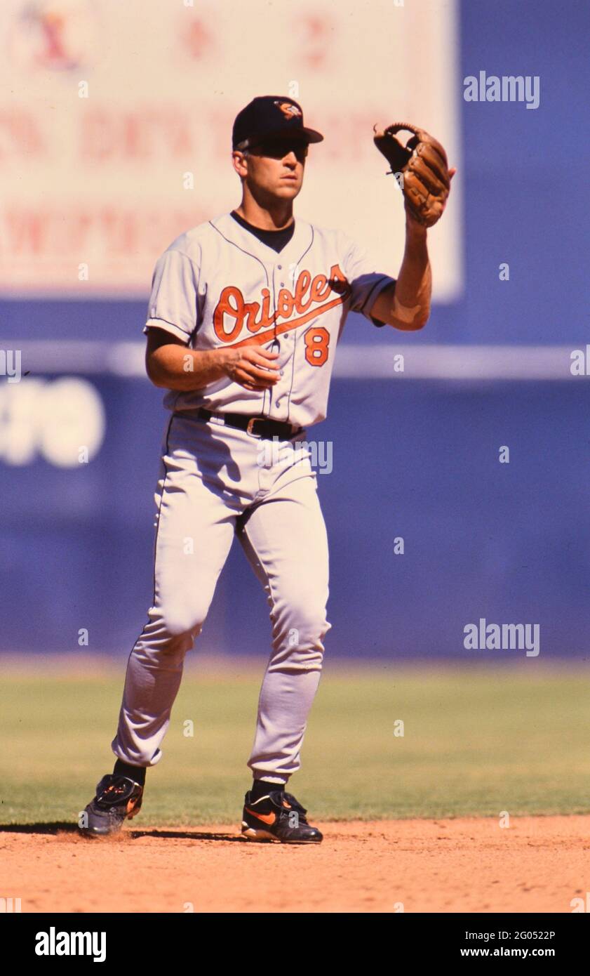 Baltimore Orioles baseball player Cal Ripken Jr. -- Please credit ...
