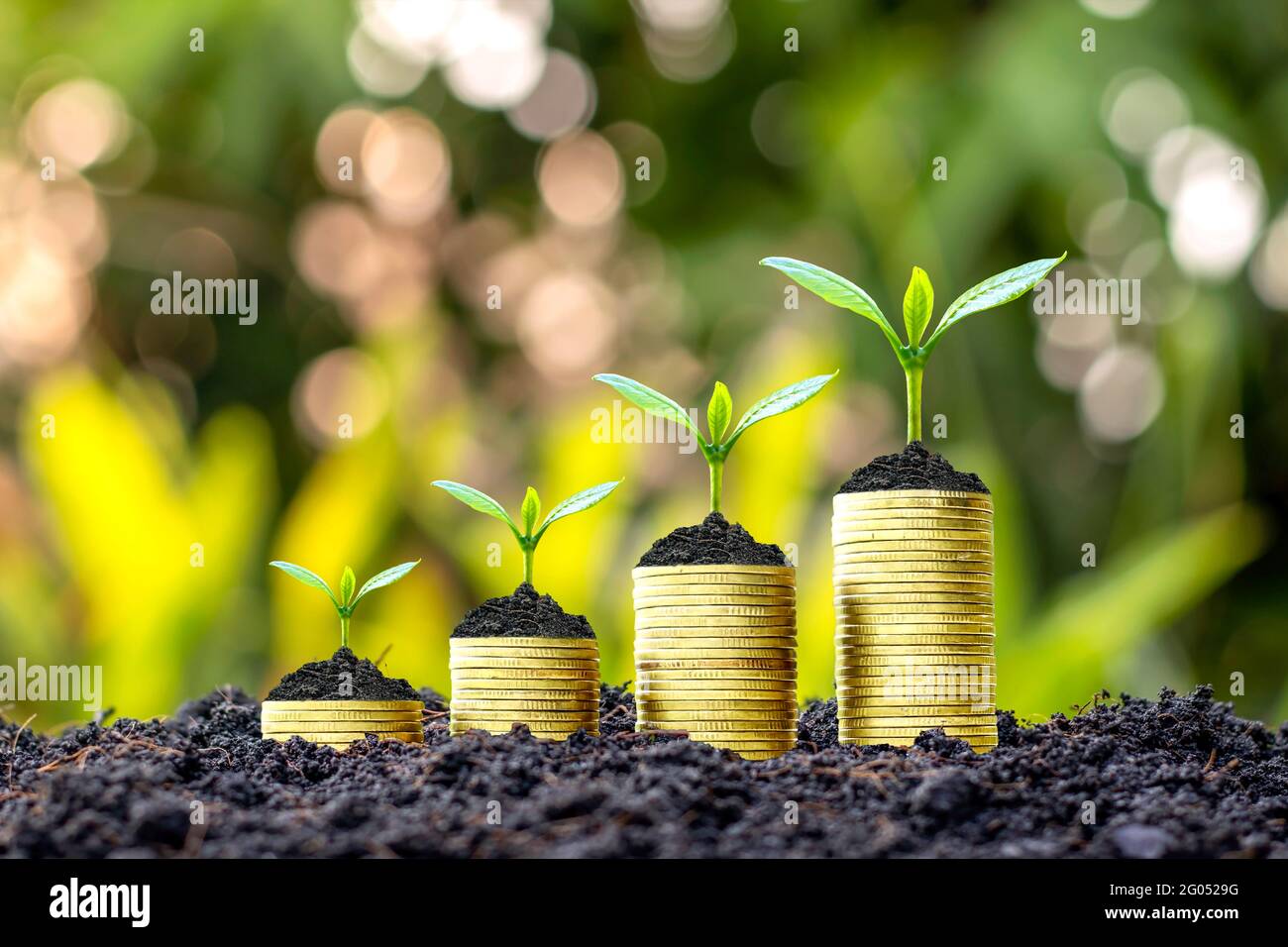Growth graph trees hi-res stock photography and images - Alamy