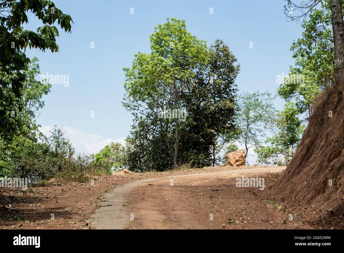A single tree in the way of Shreenagar, Tansen, Palpa, Nepal Stock ...