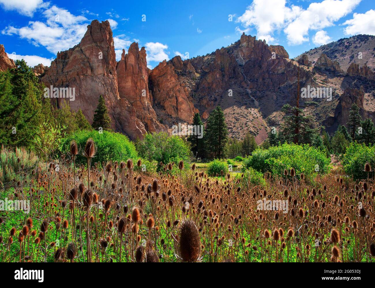 Smith Rock State Park, Oregon Stock Photo - Alamy