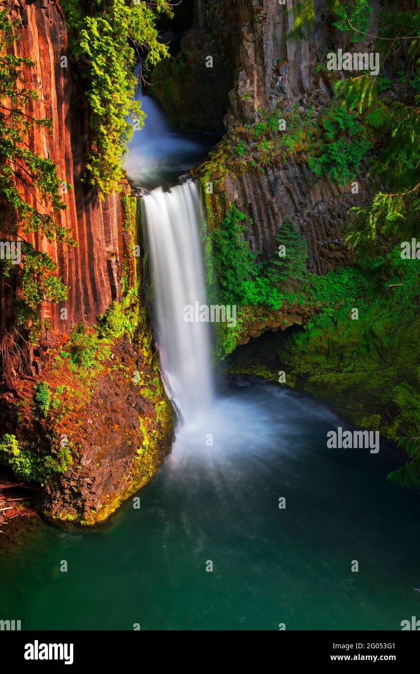 Toketee Falls, North Umpqua River, Umpqua National Forest, Oregon Stock ... Toketee Falls, North Umpqua River, Umpqua National Forest, Oregon Stock ...
