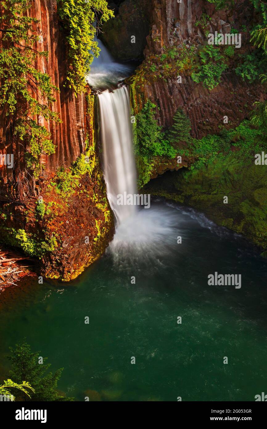 Toketee Falls, North Umpqua River, Umpqua National Forest, Oregon Stock ... Toketee Falls, North Umpqua River, Umpqua National Forest, Oregon Stock ...