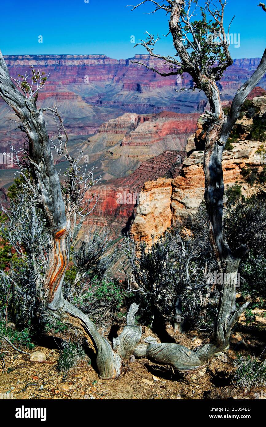 Maricopa Point, South Rim, Grand Canyon National Park, Arizona Stock ...