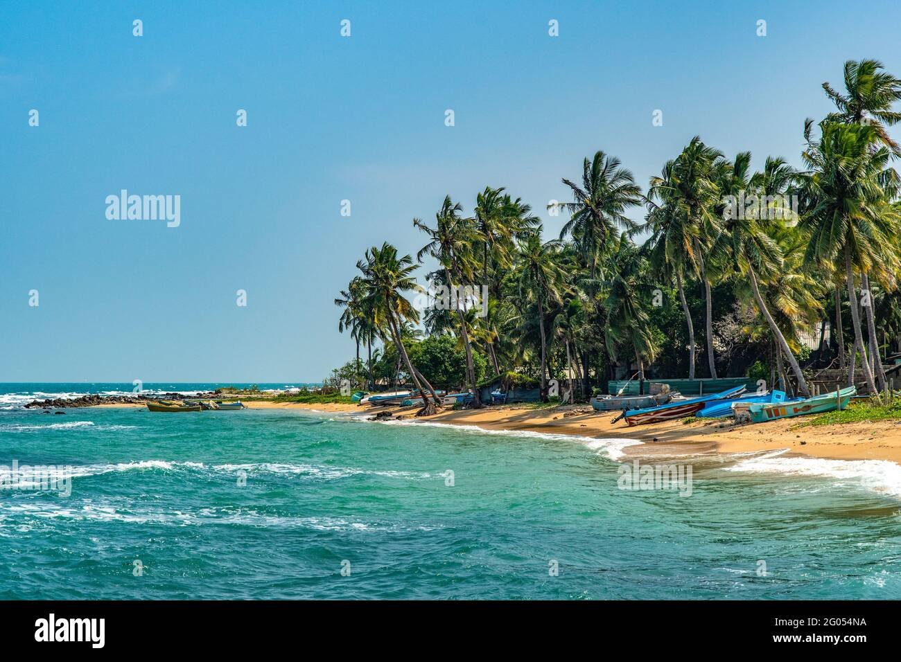 Exotic Sri Lanka Jaffna Beach Tropical Forest Palm Trees