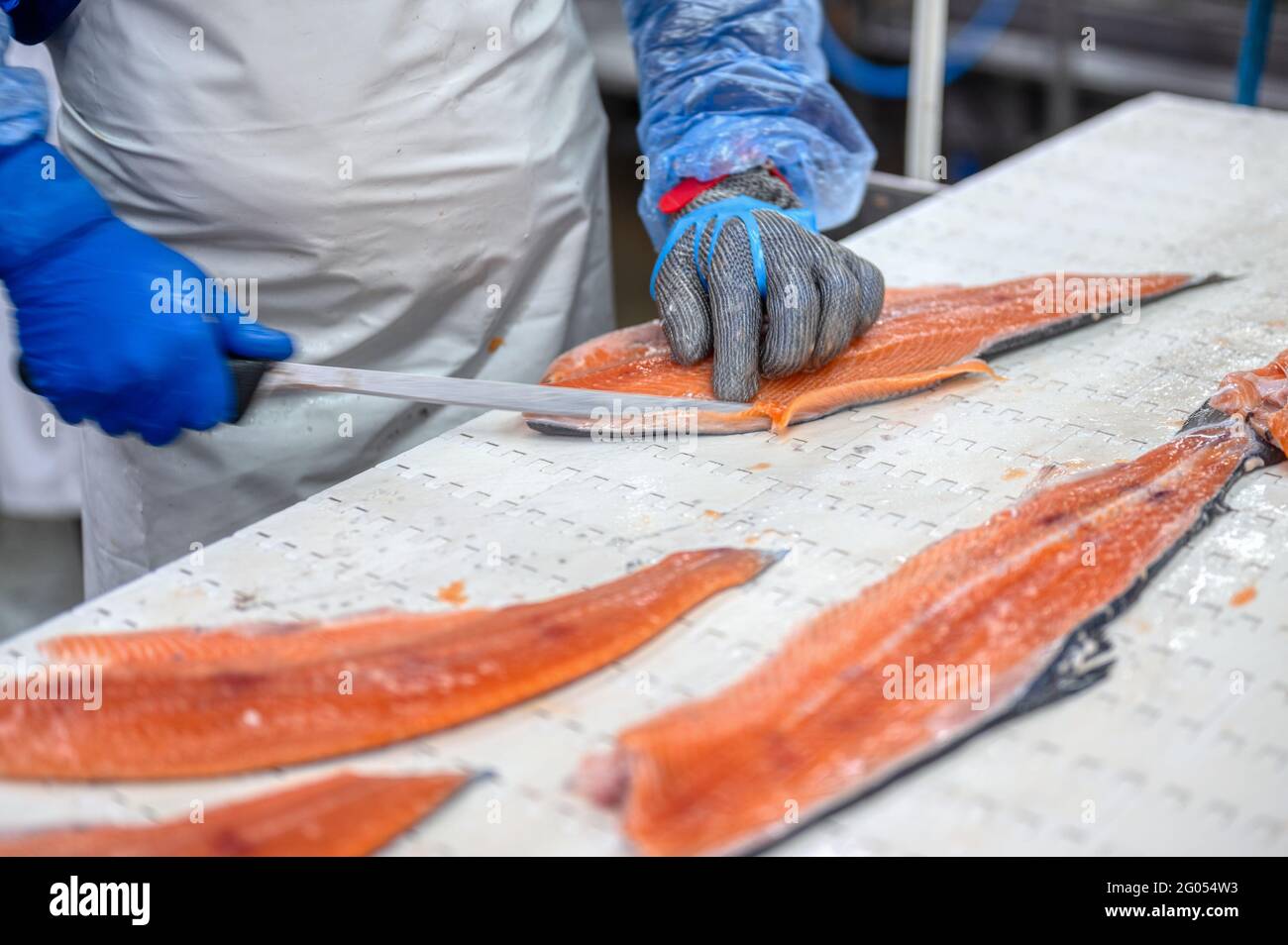 Hand Holding Fish Fillet High Resolution Stock Photography and Images ...