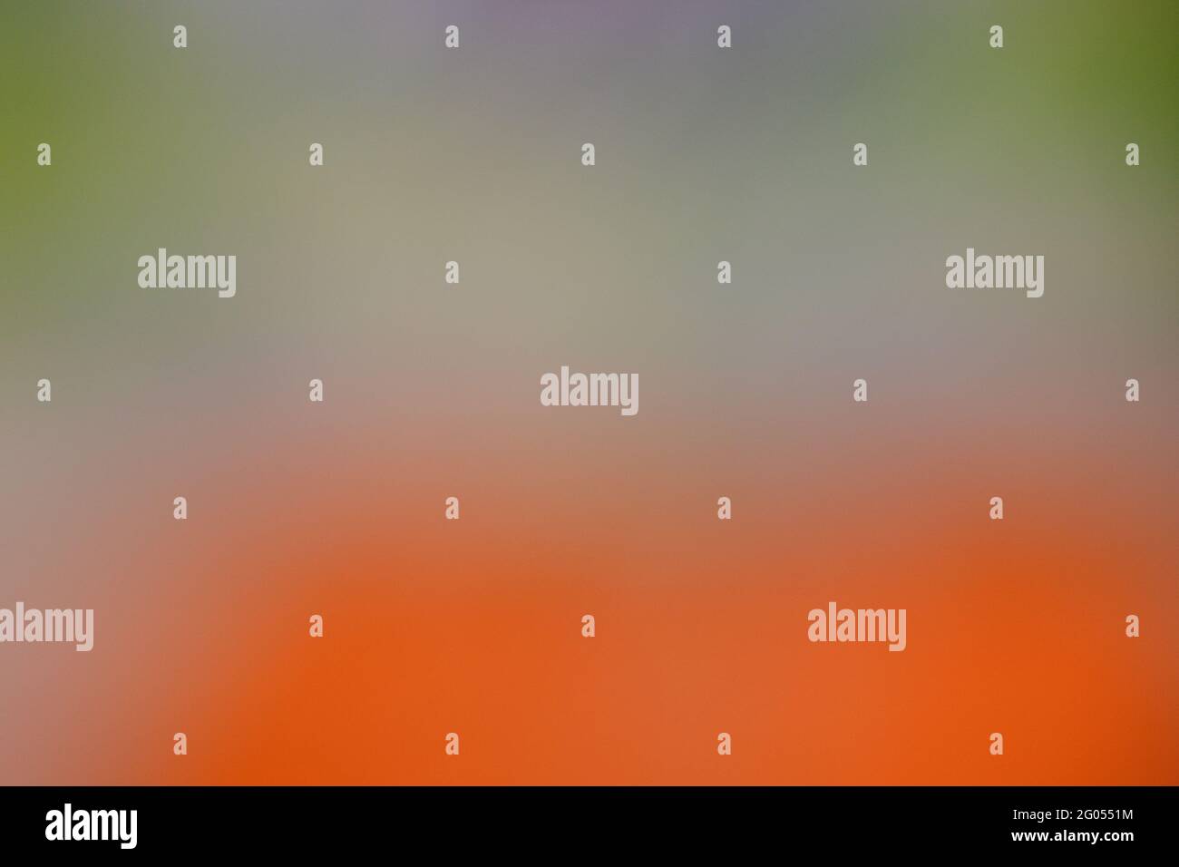 gradient multi colors background for wallpapers and graphic designs ...