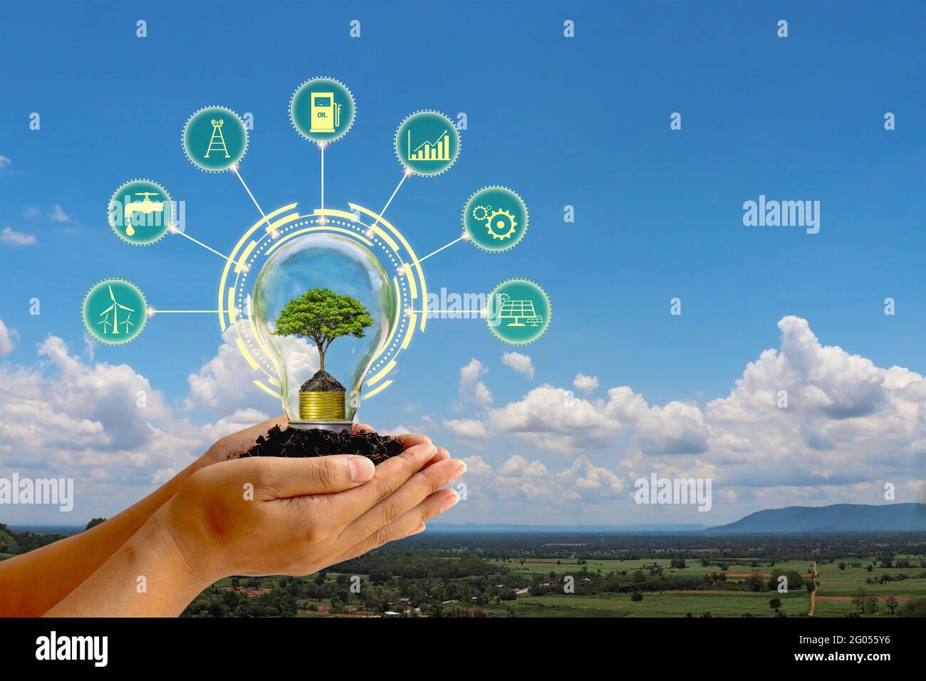 The tree growing in the human hand energy saving light bulb and energy ...