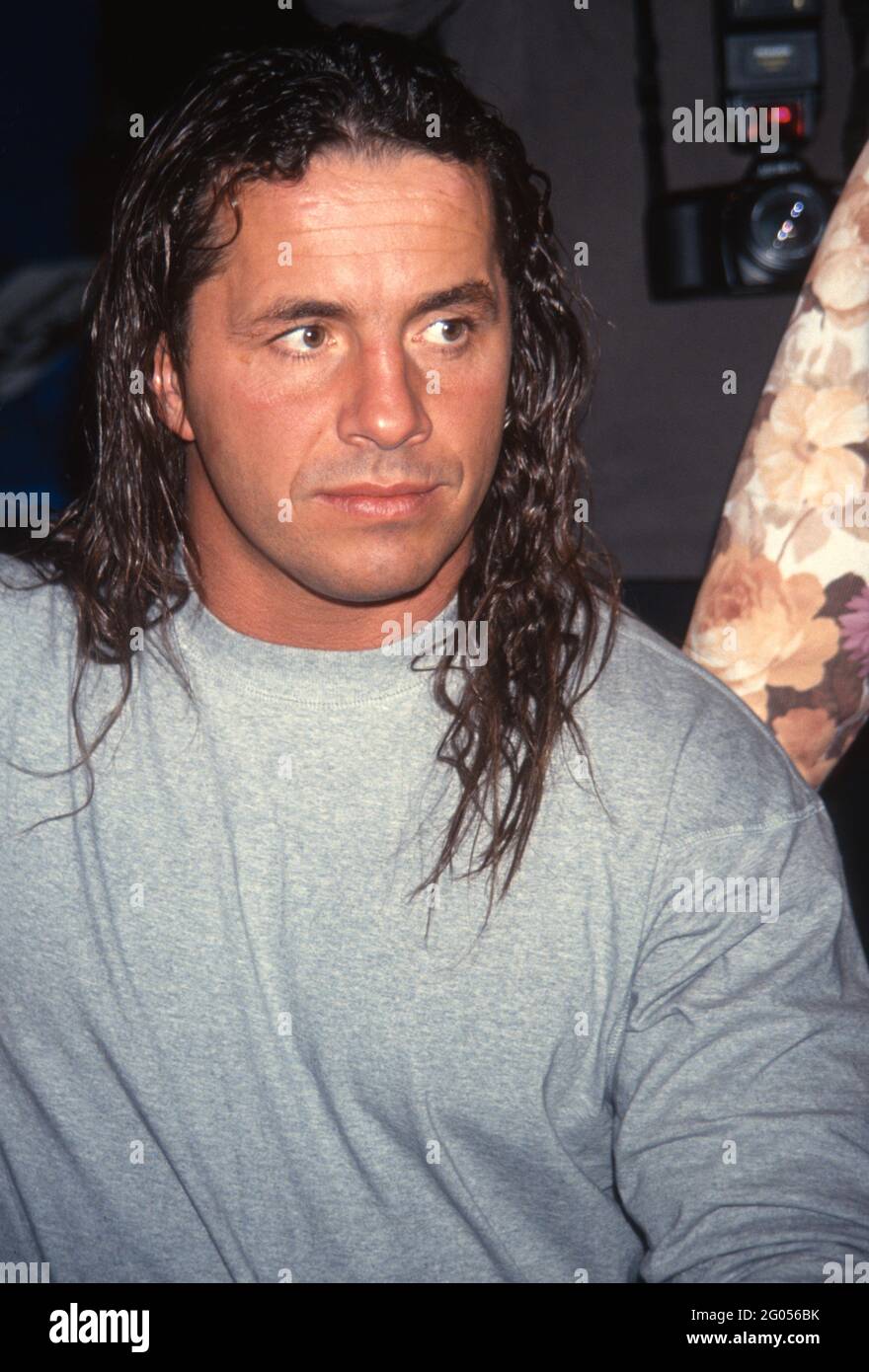 Bret Hart 1993