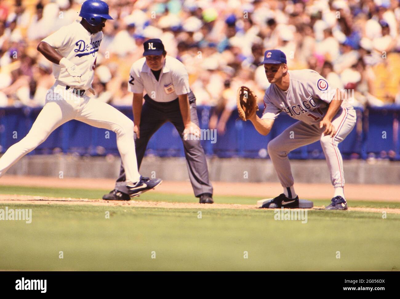 Chicago Cubs first baseman Mark Grace -- Please credit photographer ...
