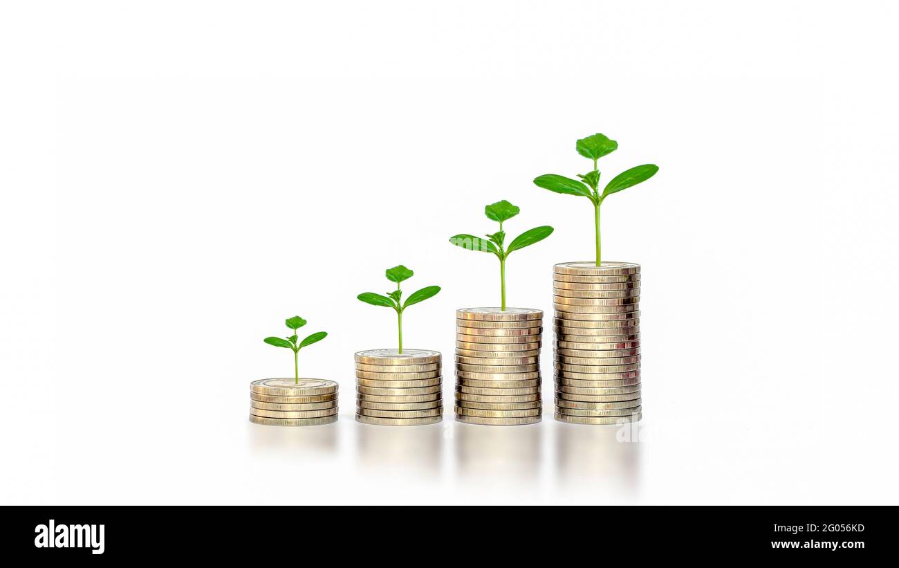 Green leaf plant growth on coin on white background business start idea ...