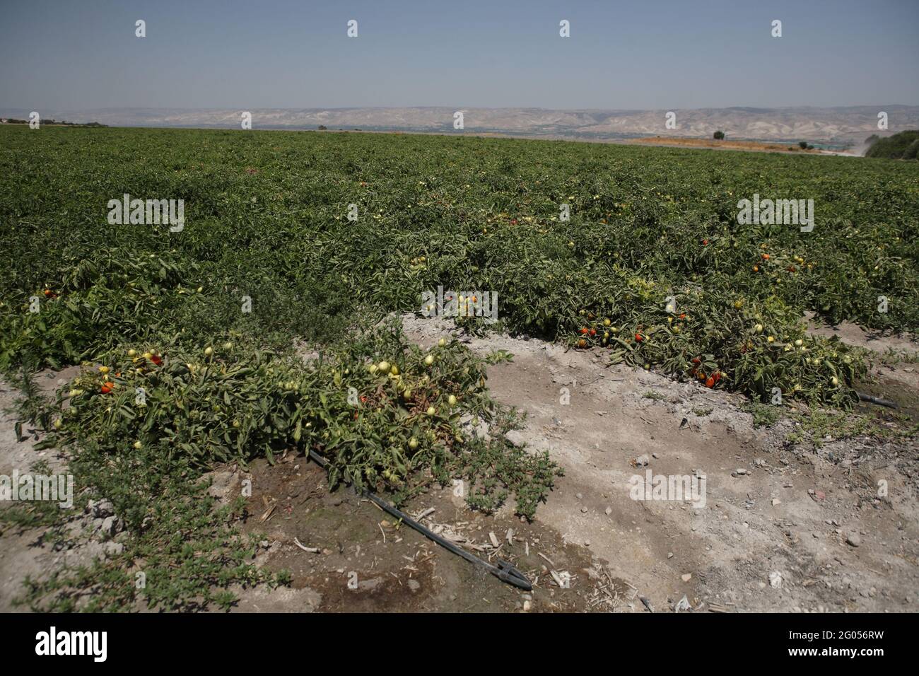Ein hanatziv israel hi-res stock photography and images - Alamy