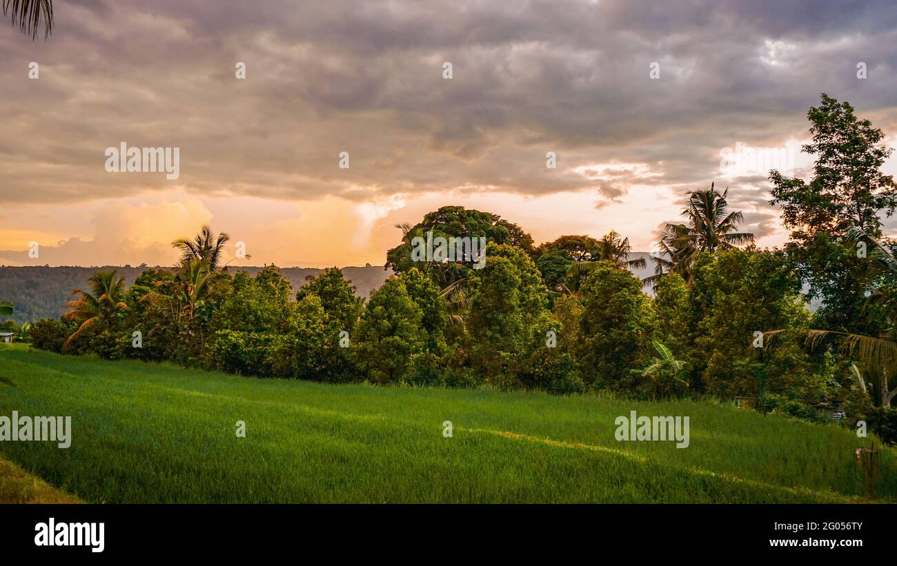 Landscape natural scenery Stock Photo - Alamy
