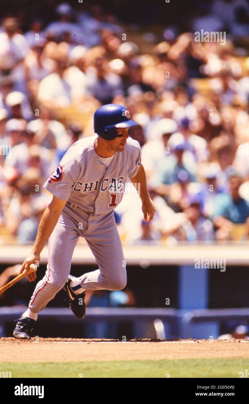 Chicago Cubs first baseman Mark Grace -- Please credit photographer ...