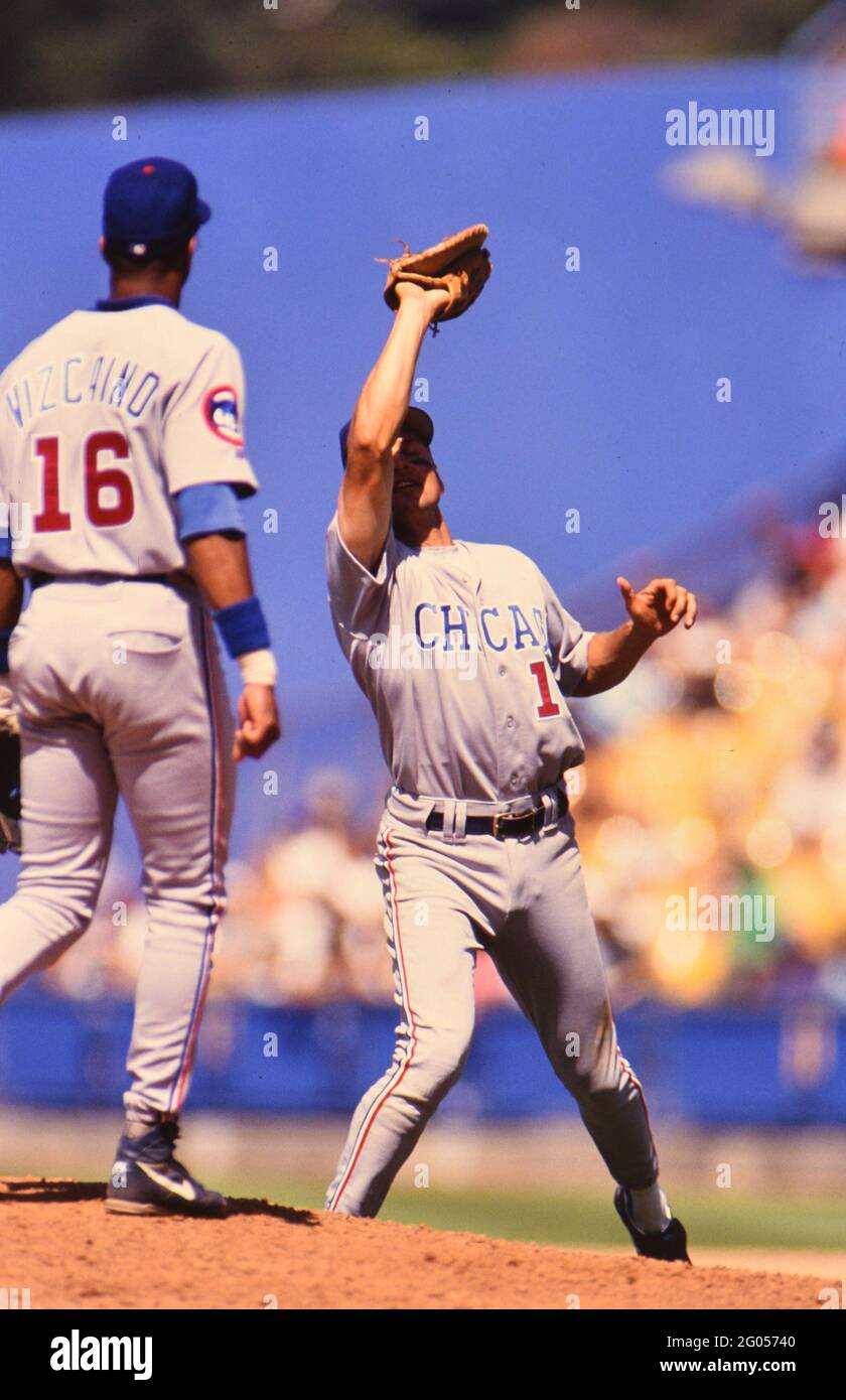 Chicago Cubs first baseman Mark Grace -- Please credit photographer ...