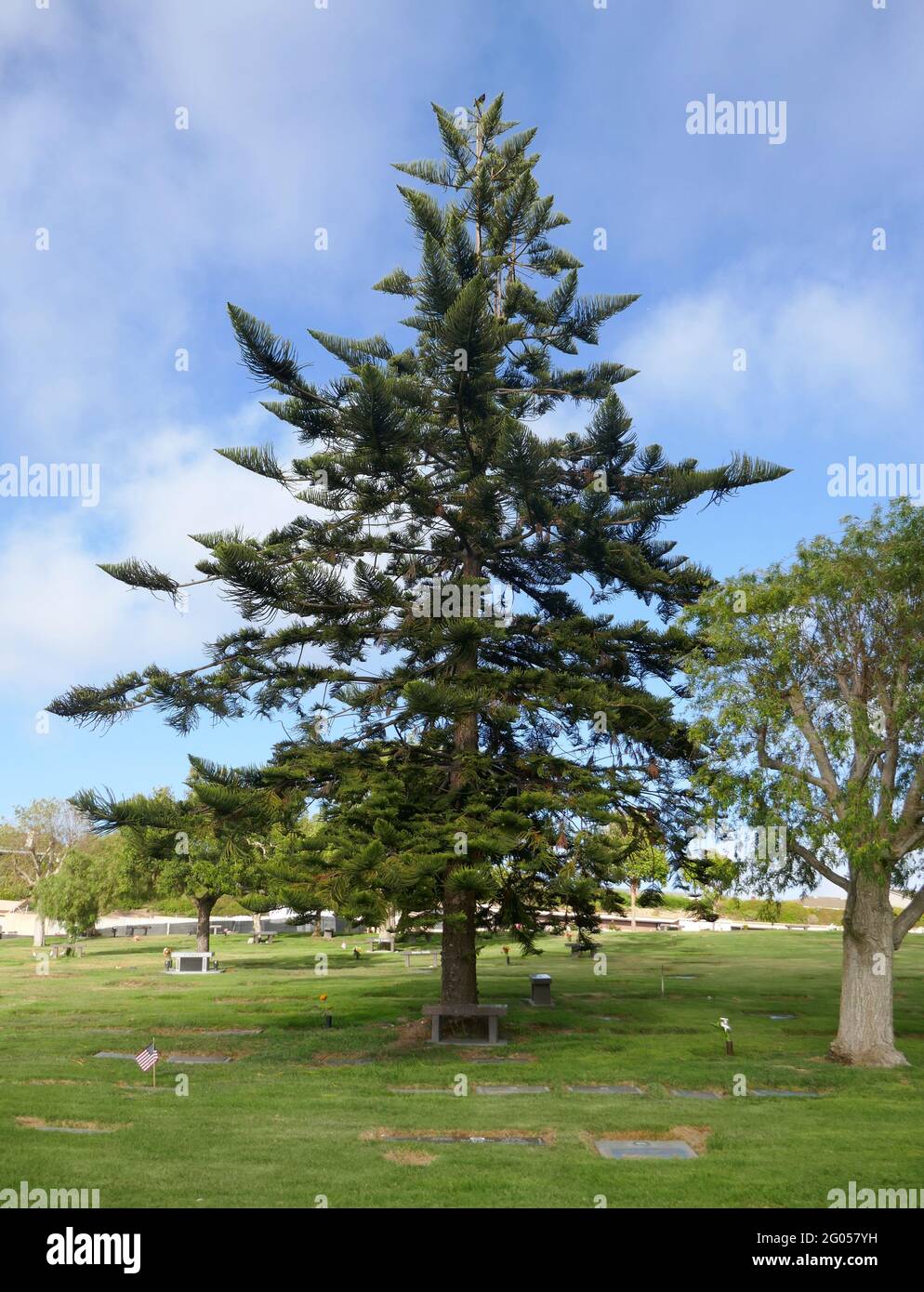 Corona del Mar, California, USA 29th May 2021 A general view of ...