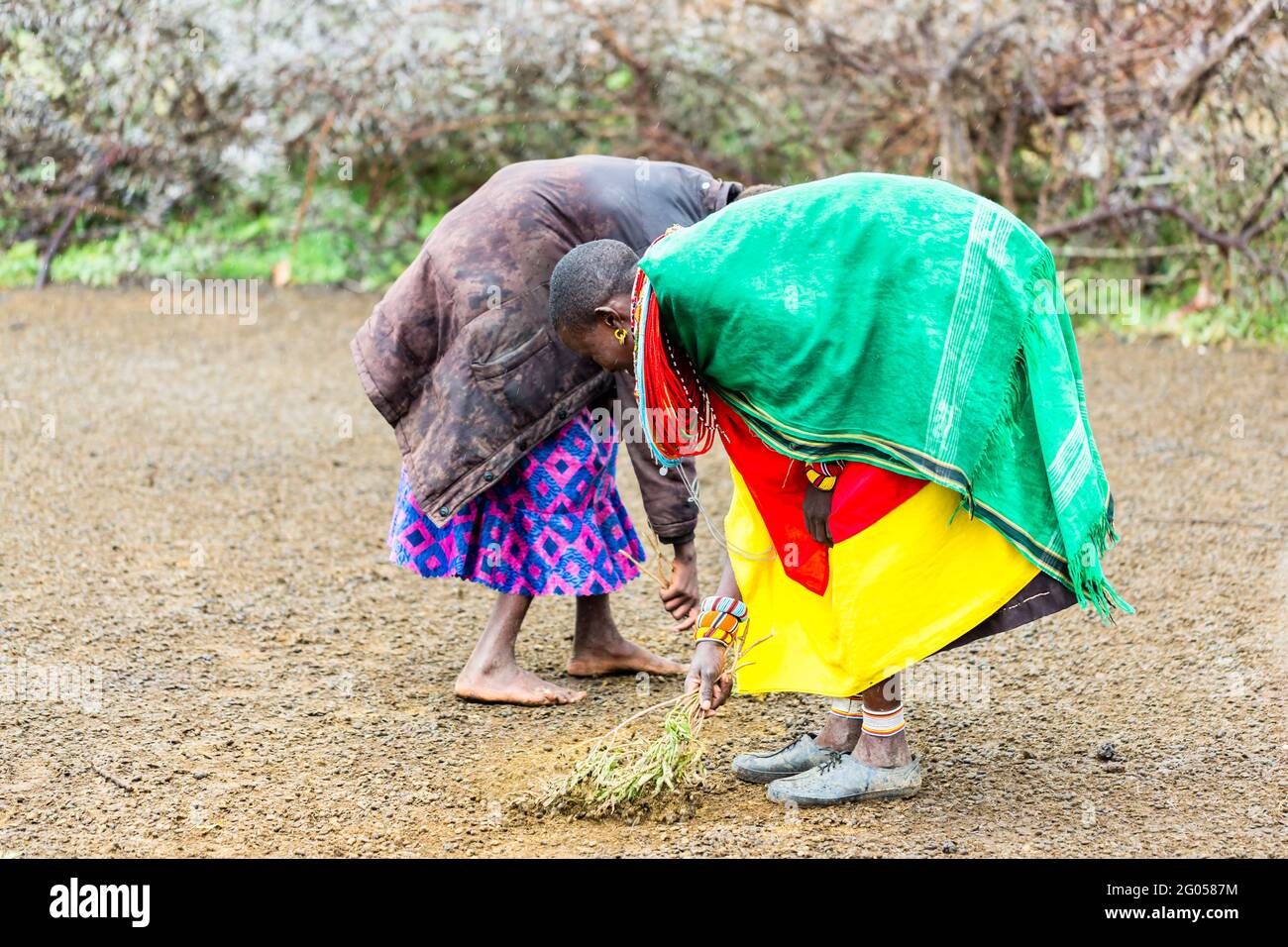 Massai women sweeping the floor doing chores Stock Photo - Alamy