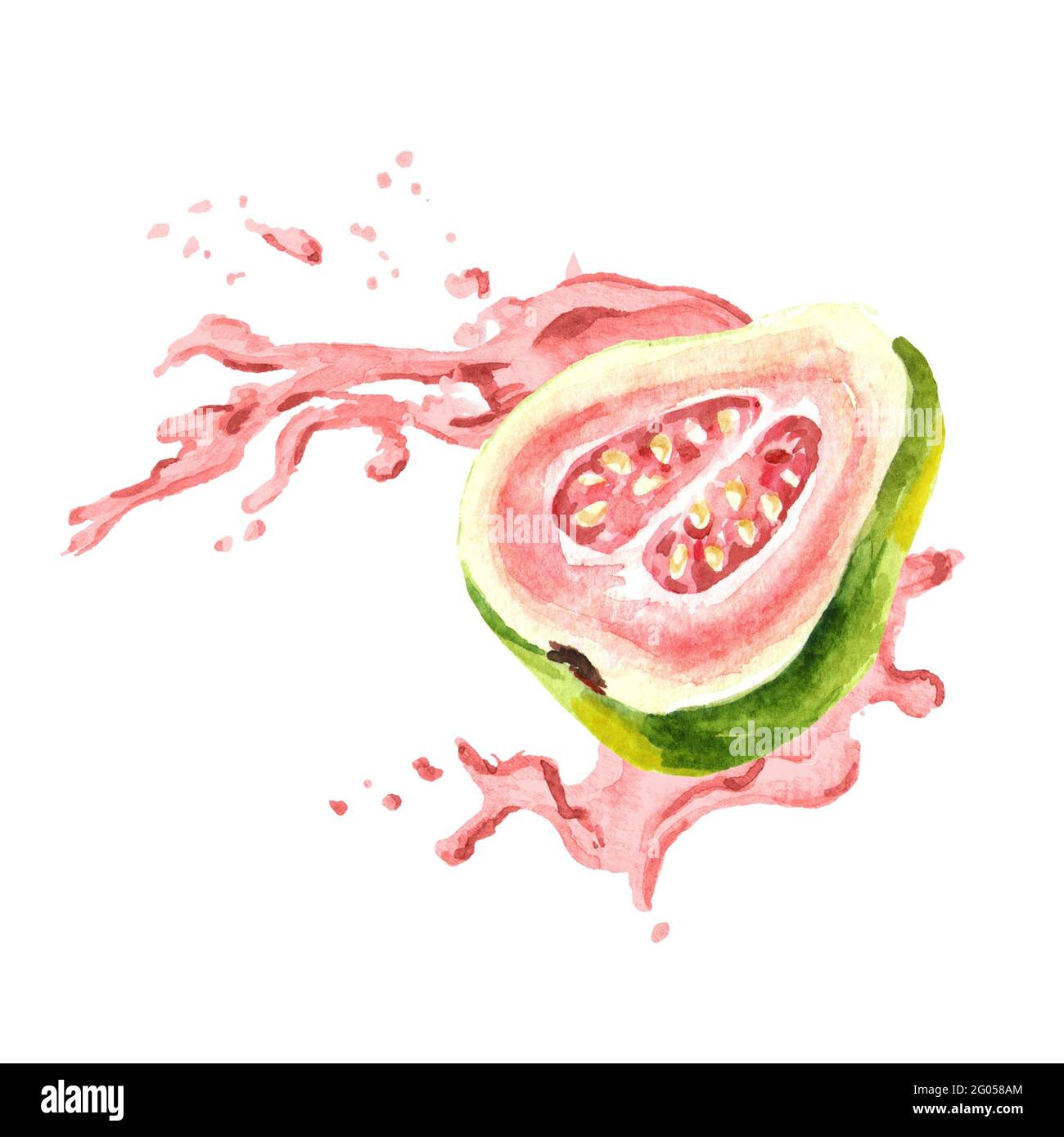 Fresh guava slice in splash of juice isolated on white background ...