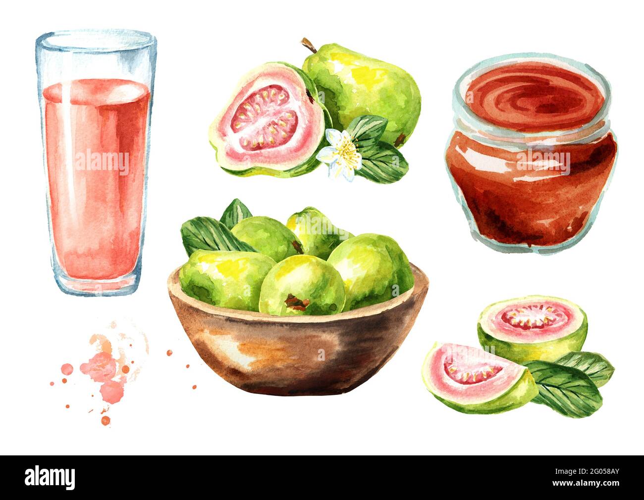 Pink guava products set. Watercolor hand drawn illustration, isolated ...