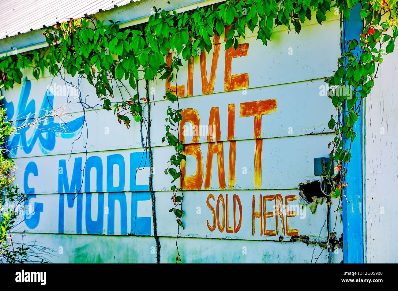 A live bait sign is painted on the wall of an abandoned bait shop, May ...