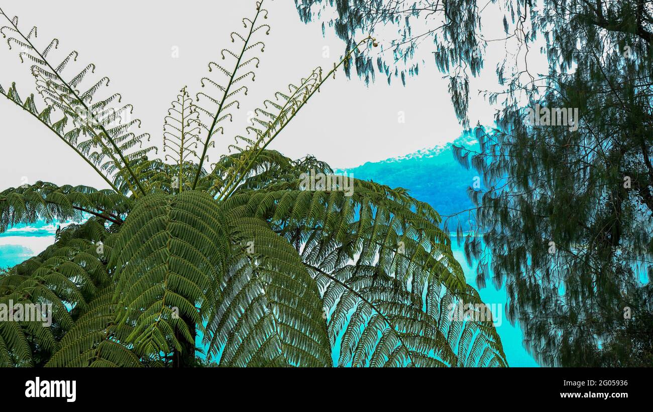 Landscape natural scenery Stock Photo - Alamy