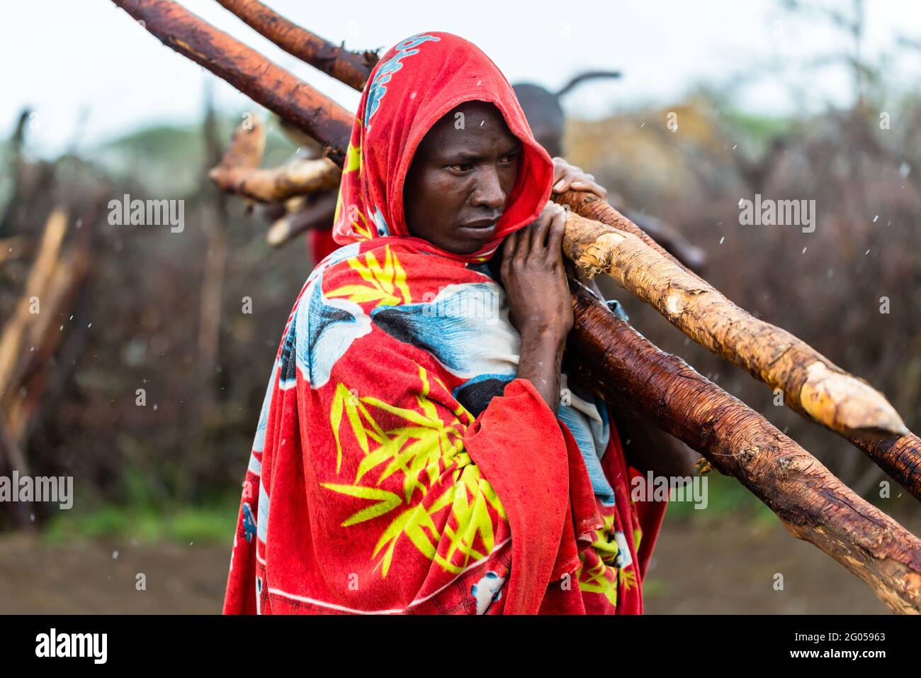 Collecting firewood africa hi-res stock photography and images - Alamy
