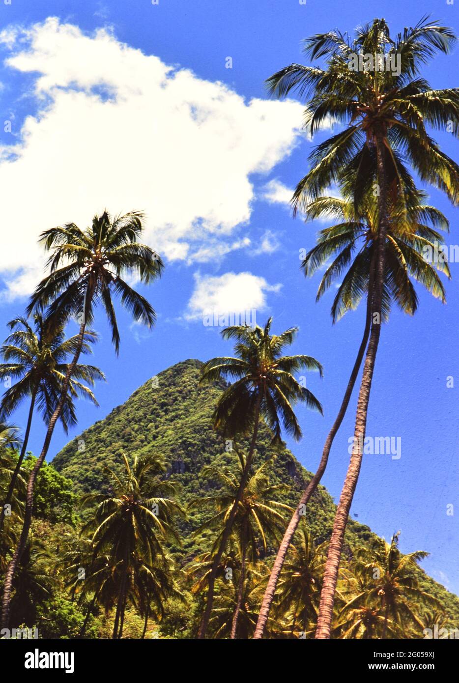 1990s st lucia petit piton hi-res stock photography and images - Alamy