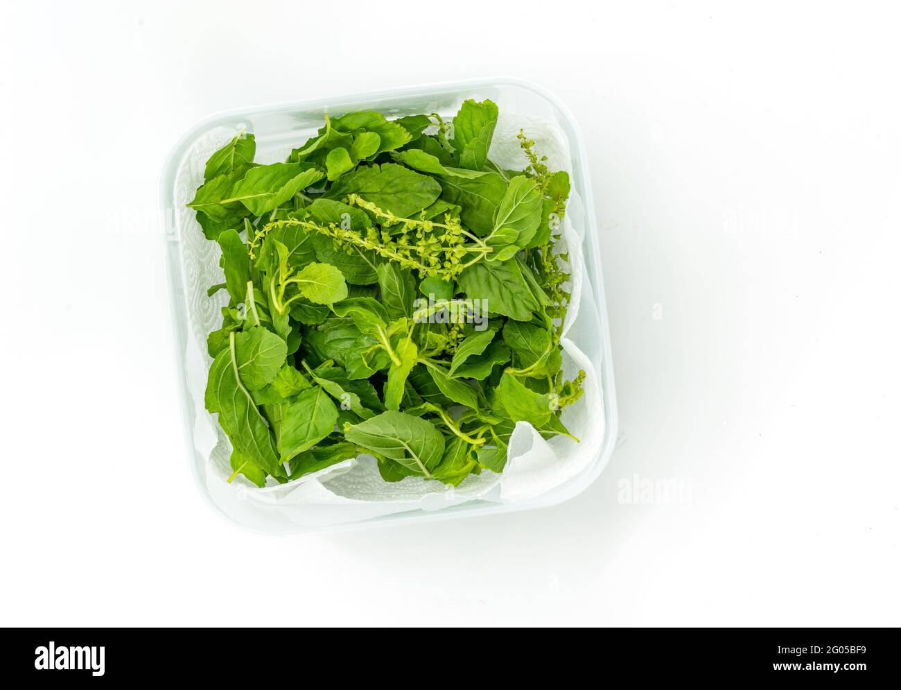 Top view fresh Holy basil leaves with kitchen towel sheet in food ...