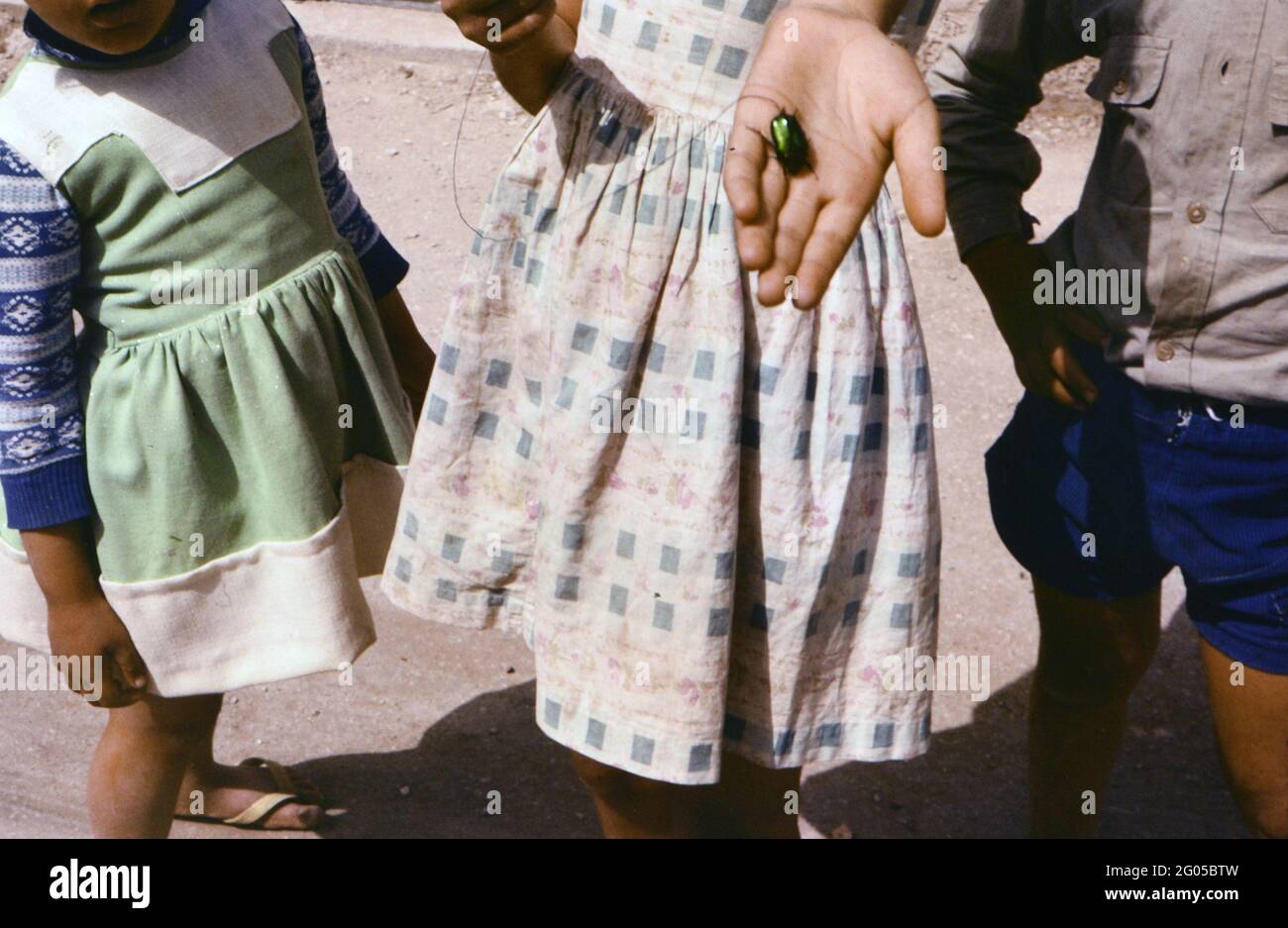 Girl with beetle hi-res stock photography and images - Alamy