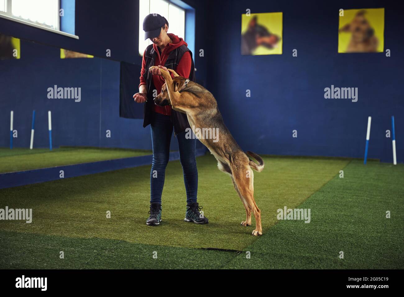 Hind legs stand hi-res stock photography and images - Alamy