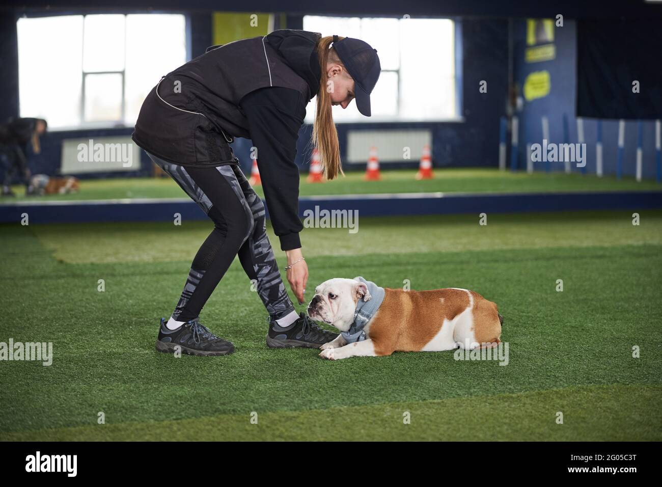Skilled handler holding a treat in front of a dog Stock Photo - Alamy