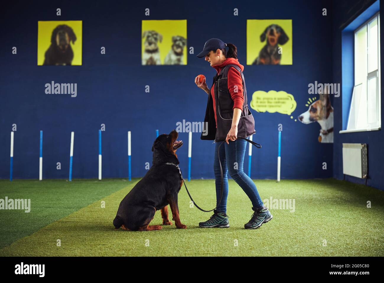Female animal trainer small hi-res stock photography and images - Alamy