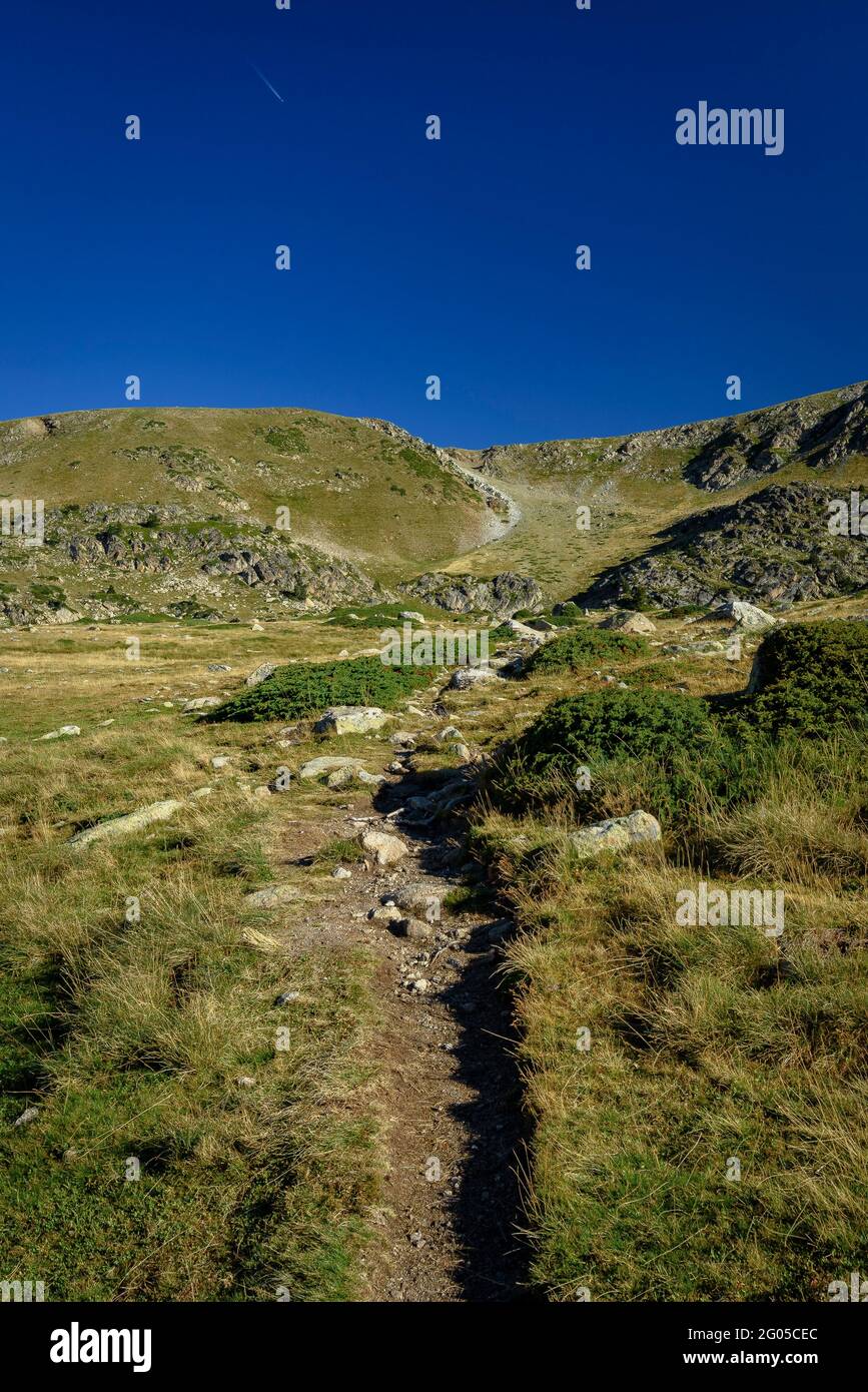 Monte la pera hi-res stock photography and images - Alamy