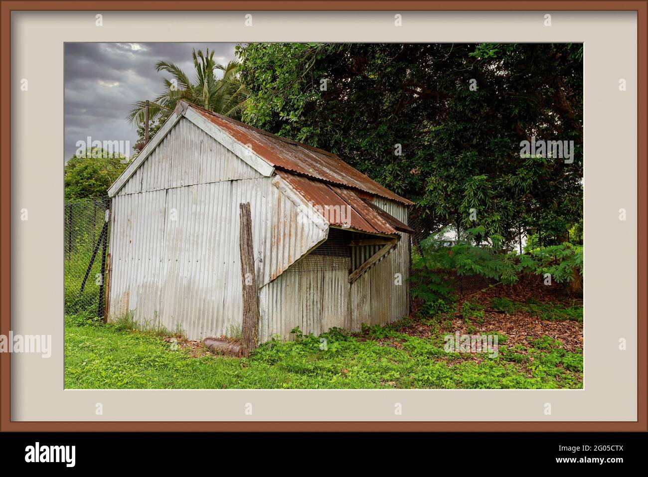 Old corrugated iron shed with push out windows in a lush green garden ...