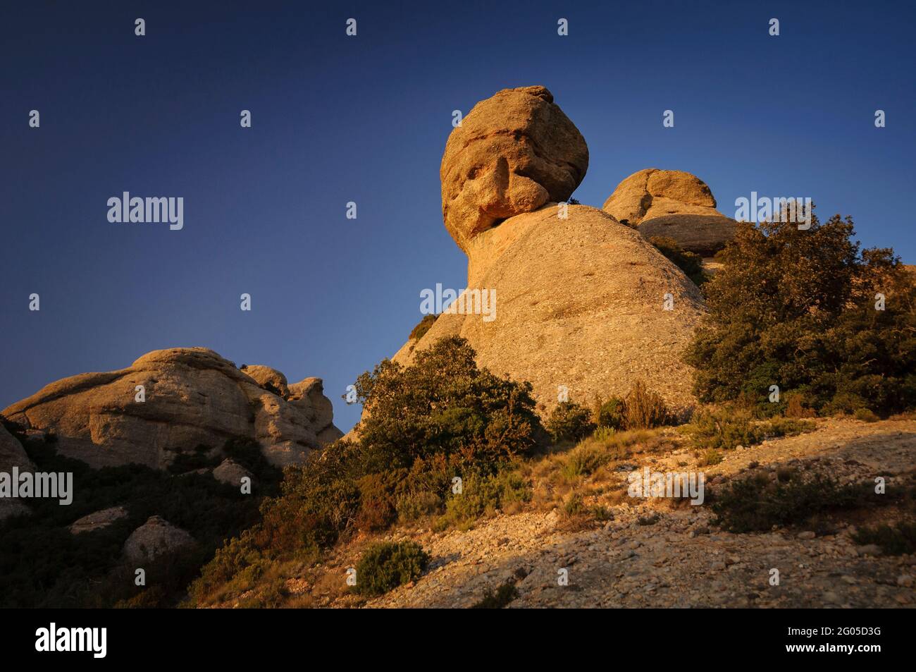 Naturaleza mort hi-res stock photography and images - Alamy