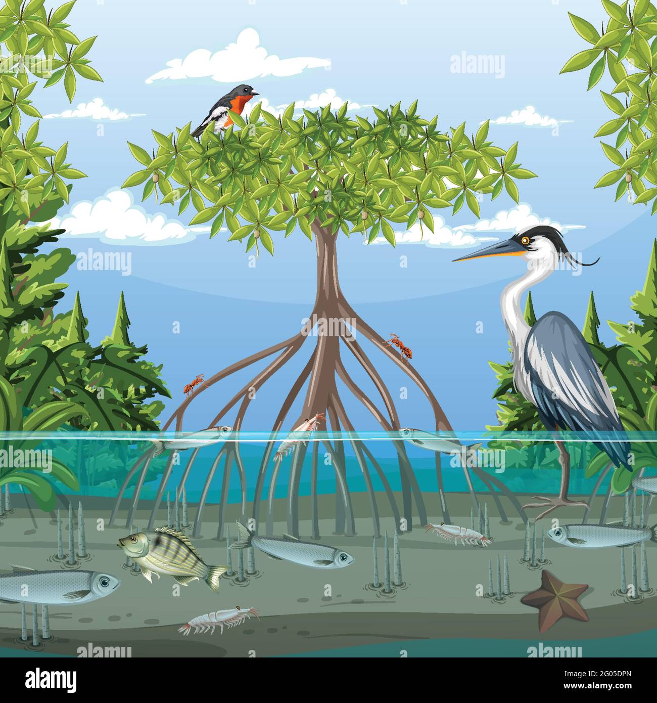 Mangrove roots fish Stock Vector Images - Alamy
