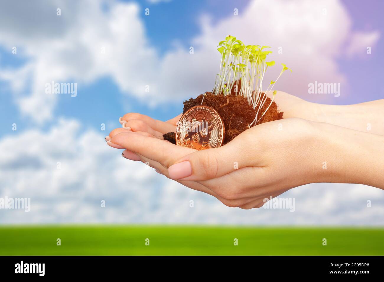Seedlings grown on a coins stack in female palm Stock Photo - Alamy