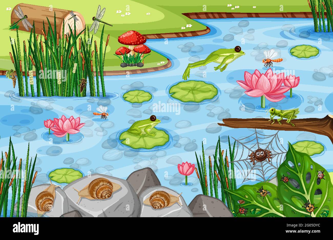Pond scene with many green frogs illustration Stock Vector Image & Art ...
