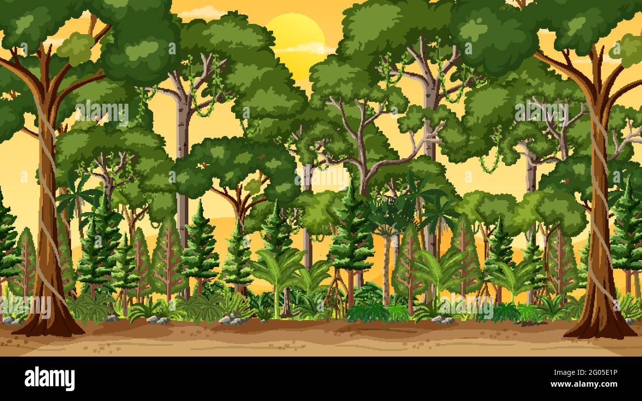 Forest landscape scene at sunset time illustration Stock Vector Image ...